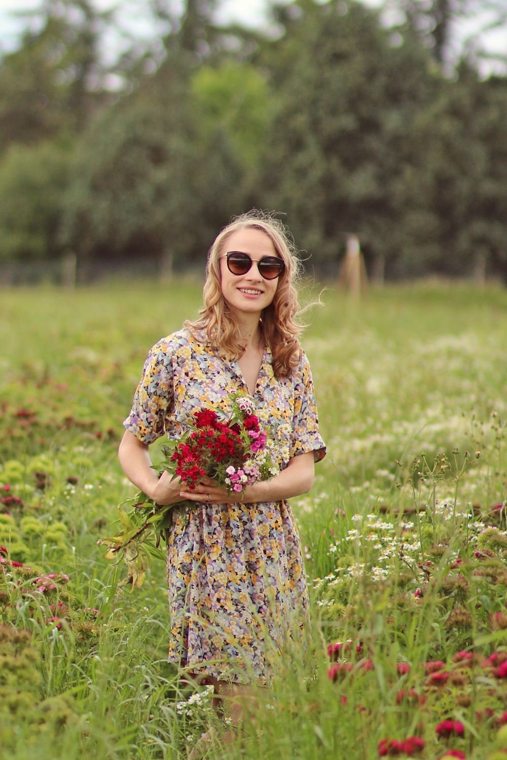 Tout ce qu’il faut savoir pour réussir sa cueillette – les Apparences