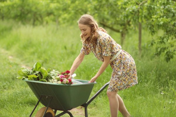 Tout ce qu’il faut savoir pour réussir sa cueillette – les Apparences
